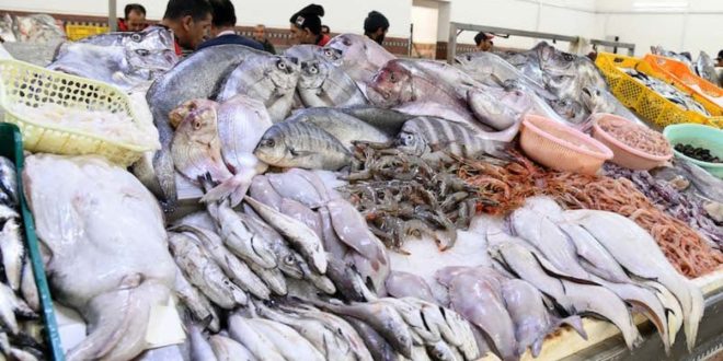 Ramadan au Maroc: les prix des poissons flambent ! - LeSiteinfo.com